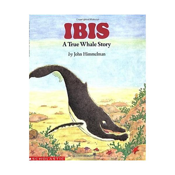 【お取り寄せ・キャンセル不可の商品】：2週間~4週間でお届け（お急ぎの方はご遠慮ください。）　／　【本の説明】191*229mm　言語：English　91g　ISBN:9780590428491　対象年齢：5~8歳|Lexile?指数:5...