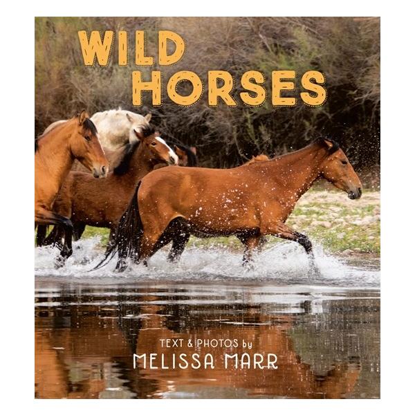 【お取り寄せ・キャンセル不可の商品】：2週間~4週間でお届け（お急ぎの方はご遠慮ください。）　／　【本の説明】32ページ　220*254mm　言語：English　国：アメリカ　340g　ISBN:9780593109113　対象年齢：3~...