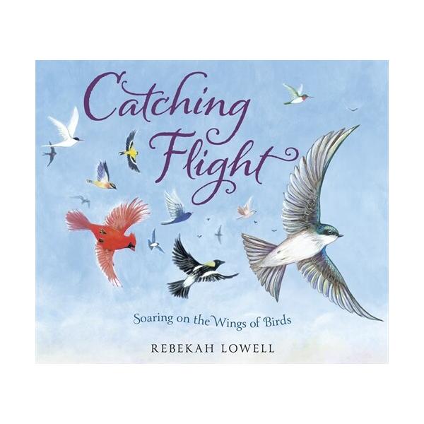 【お取り寄せ・キャンセル不可の商品】：2週間~4週間でお届け（お急ぎの方はご遠慮ください。）　／　【本の説明】32ページ　230*274mm　言語：English　国：アメリカ　408g　ISBN:9780593487099　対象年齢：3~...