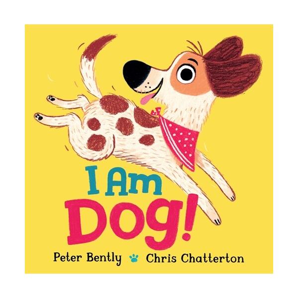 【お取り寄せ・キャンセル不可の商品】：2週間~4週間でお届け（お急ぎの方はご遠慮ください。）　／　【本の説明】32ページ　264*262mm　言語：English　454g　ISBN：9780593520871　対象年齢：3~5歳|Lexi...