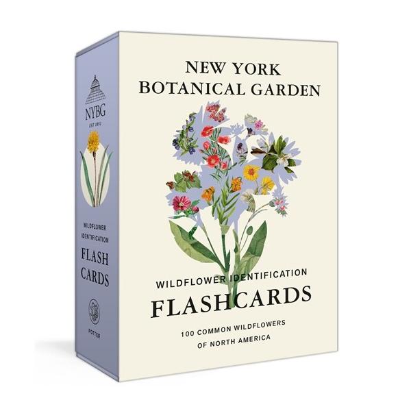 【お取り寄せ・キャンセル不可の商品】：2週間~4週間でお届け（お急ぎの方はご遠慮ください。）　／　【本の説明】102ページ　101*141mm　言語：English　国：アメリカ　510g　ISBN：9780593578537　／　【本の内...