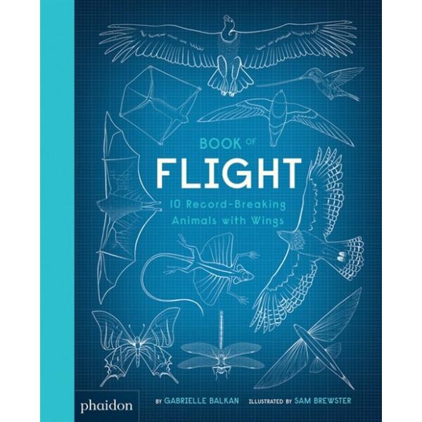 【お取り寄せ・キャンセル不可の商品】：2週間~4週間でお届け（お急ぎの方はご遠慮ください。）　／　【本の説明】48ページ　254*315mm　言語：English　国：イギリス　195g　ISBN:9780714878683　対象年齢：5-...