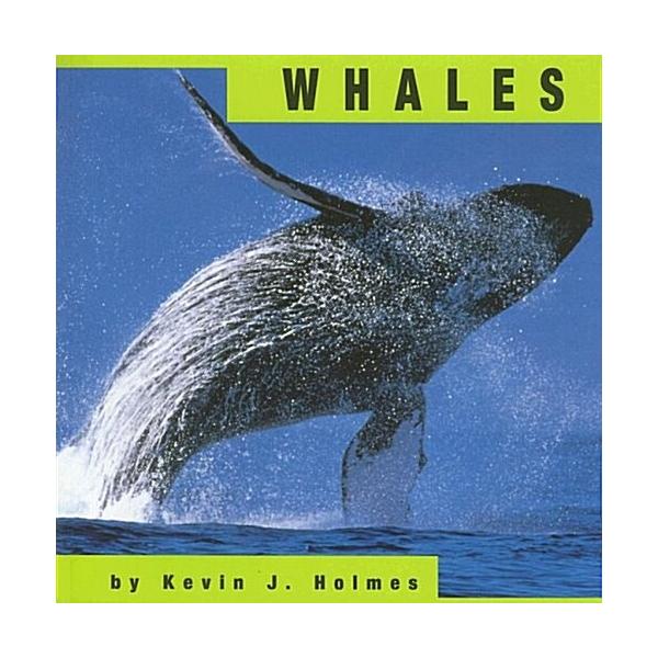 【お取り寄せ・キャンセル不可の商品】：2週間~4週間でお届け（お急ぎの方はご遠慮ください。）　／　【本の説明】24ページ　204*199mm　言語：English　82g　ISBN:9780736880732　／　【本の内容】An intr...