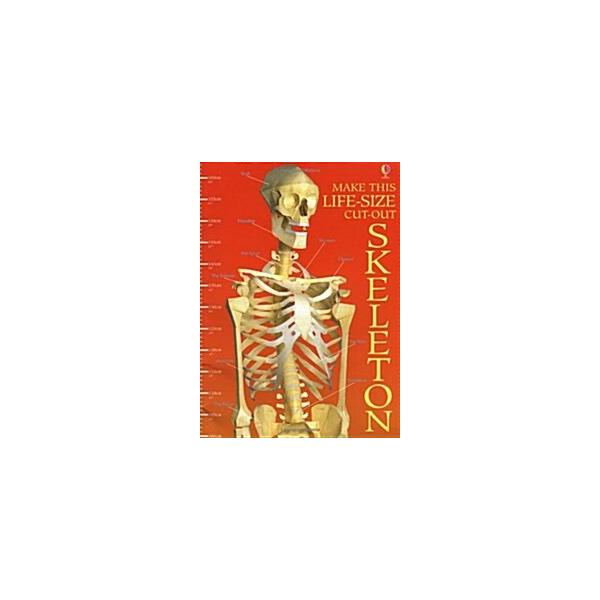 【お取り寄せ・キャンセル不可の商品】：2週間~4週間でお届け（お急ぎの方はご遠慮ください。）　／　【本の説明】64ページ　230*322mm　言語：English　290g　ISBN：9780746053034　／　【本の内容】This b...