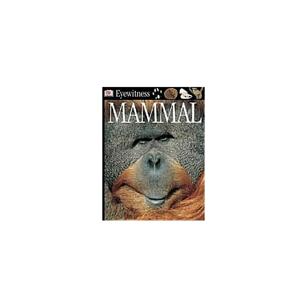 【お取り寄せ・キャンセル不可の商品】：2週間~4週間でお届け（お急ぎの方はご遠慮ください。）　／　【本の説明】72ページ　212*278mm　言語：English　299g　ISBN：9780751364767　／　【本の内容】Did yo...