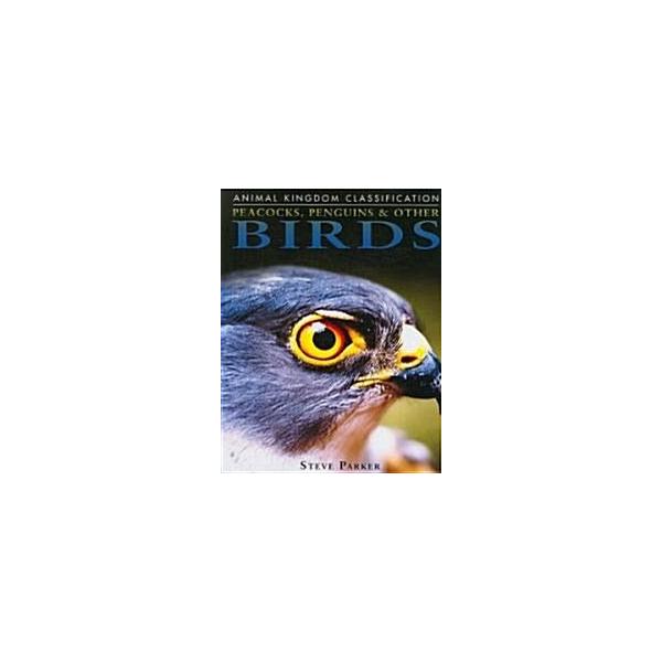 【お取り寄せ・キャンセル不可の商品】：2週間~4週間でお届け（お急ぎの方はご遠慮ください。）　／　【本の説明】48ページ　218*272mm　言語：English　204g　ISBN:9780756518417　対象年齢：9~12歳　