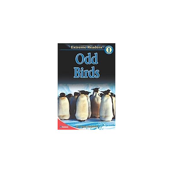 【お取り寄せ・キャンセル不可の商品】：2週間~4週間でお届け（お急ぎの方はご遠慮ください。）　／　【本の説明】32ページ　152*216mm　言語：English　国：アメリカ　91g　ISBN:9780769652597　／　【本の内容】...