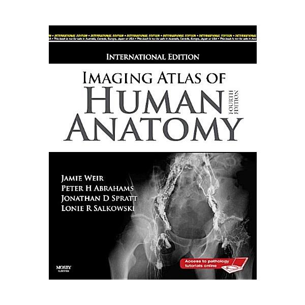 【お取り寄せ・キャンセル不可の商品】：2週間~4週間でお届け（お急ぎの方はご遠慮ください。）　／　【本の説明】268ページ　248*302mm　言語：English　290g　ISBN：9780808923886　／　【本の内容】Imagi...