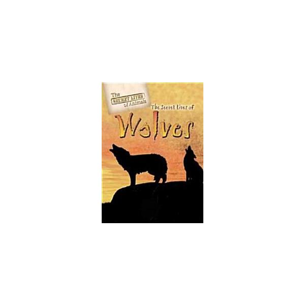 【お取り寄せ・キャンセル不可の商品】：2週間~4週間でお届け（お急ぎの方はご遠慮ください。）　／　【本の説明】32ページ　167*236mm　言語：English　国：アメリカ　222g　ISBN:9780836876604　対象年齢：7~...