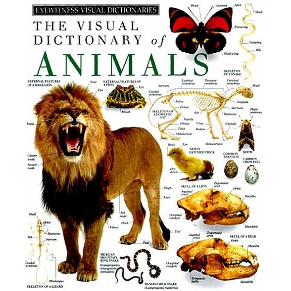 【お取り寄せ・キャンセル不可の商品】：2週間~4週間でお届け（お急ぎの方はご遠慮ください。）　／　【本の説明】64ページ　262*312mm　816g　ISBN:9780863187018　／　【本の内容】This text is part...