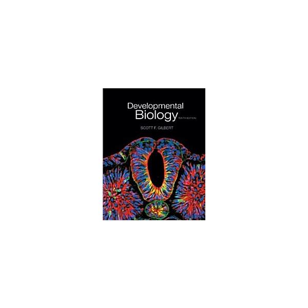 【お取り寄せ・キャンセル不可の商品】：2週間~4週間でお届け（お急ぎの方はご遠慮ください。）　／　【本の説明】719ページ　221*282mm　言語：English　国：アメリカ　2064g　ISBN：9780878939787　／　【本の...