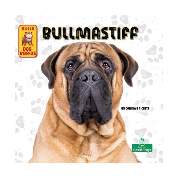 【お取り寄せ・キャンセル不可の商品】：2週間~4週間でお届け（お急ぎの方はご遠慮ください。）　／　【本の説明】24ページ　206*208mm　言語：English　236g　ISBN：9781039844735　対象年齢：6~8歳　／　【本...