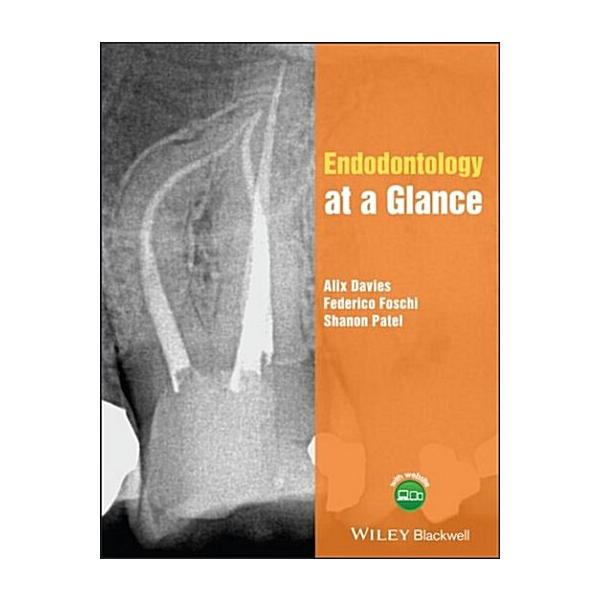 【お取り寄せ・キャンセル不可の商品】：2週間~4週間でお届け（お急ぎの方はご遠慮ください。）　／　【本の説明】104ページ　208*269mm　言語：English　国：イギリス　294g　ISBN：9781118994702　／　【本の内...