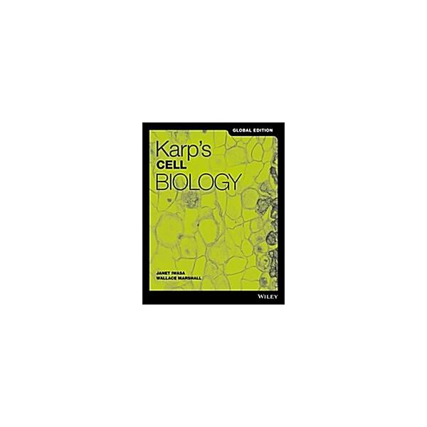 【お取り寄せ・キャンセル不可の商品】：2週間~4週間でお届け（お急ぎの方はご遠慮ください。）　／　【本の説明】880ページ　10*10mm　言語：English　国：アメリカ　453g　ISBN：9781119454175　／　【本の内容】...
