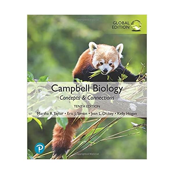 【お取り寄せ・キャンセル不可の商品】：2週間~4週間でお届け（お急ぎの方はご遠慮ください。）　／　【本の説明】920ページ　229*275mm　言語：English　国：イギリス　1049g　ISBN：9781292401348　／　【本の...