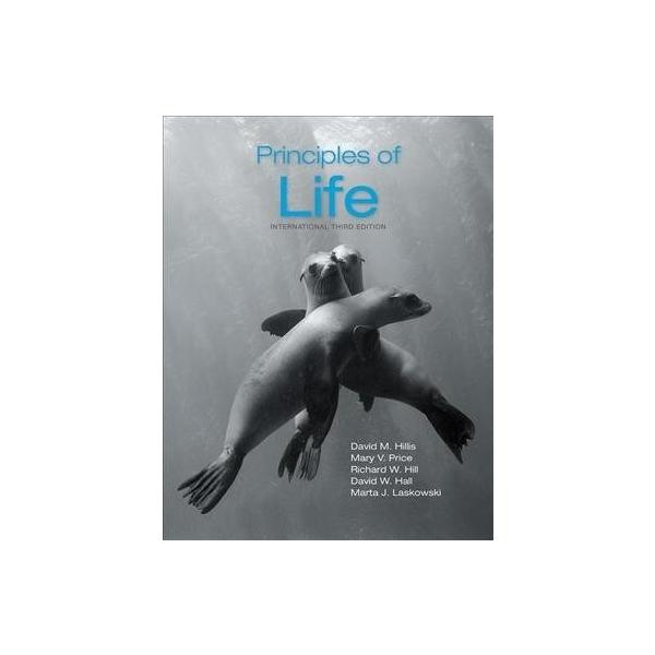 【お取り寄せ・キャンセル不可の商品】：2週間~4週間でお届け（お急ぎの方はご遠慮ください。）　／　【本の説明】915ページ　155*235mm　国：アメリカ　1043g　ISBN：9781319248024　／　【本の内容】Building...