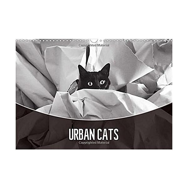 【お取り寄せ・キャンセル不可の商品】：2週間~4週間でお届け（お急ぎの方はご遠慮ください。）　／　【本の説明】14ページ　420*297mm　言語：English　国：イギリス　463g　ISBN：9781325291236　／　【本の内容...