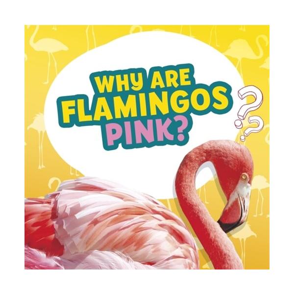 【お取り寄せ・キャンセル不可の商品】：2週間~4週間でお届け（お急ぎの方はご遠慮ください。）　／　【本の説明】24ページ　203*198mm　国：イギリス　80g　ISBN：9781398215696　