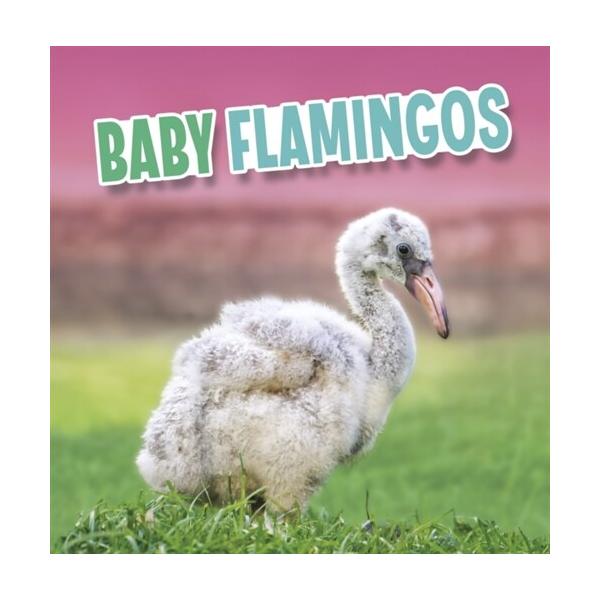 【お取り寄せ・キャンセル不可の商品】：2週間~4週間でお届け（お急ぎの方はご遠慮ください。）　／　【本の説明】24ページ　203*199mm　国：イギリス　84g　ISBN：9781398223905　