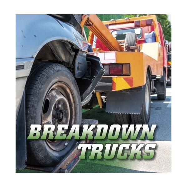 【お取り寄せ・キャンセル不可の商品】：2週間~4週間でお届け（お急ぎの方はご遠慮ください。）　／　【本の説明】24ページ　199*202mm　国：イギリス　80g　ISBN：9781398224599　