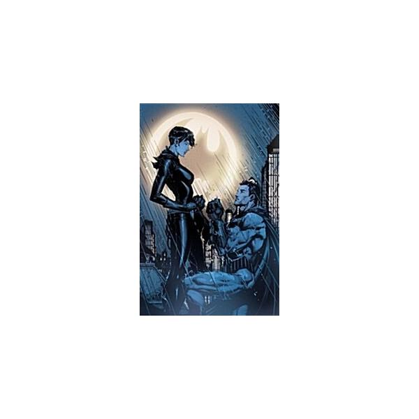 【お取り寄せ・キャンセル不可の商品】：2週間~4週間でお届け（お急ぎの方はご遠慮ください。）　／　【本の説明】96ページ　10*188mm　言語：English　国：アメリカ　5035g　ISBN：9781401286538　／　【本の内容...