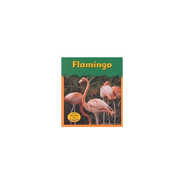 【お取り寄せ・キャンセル不可の商品】：2週間~4週間でお届け（お急ぎの方はご遠慮ください。）　／　【本の説明】222*197mm　言語：English　91g　ISBN:9781403406460　対象年齢：5~8歳　／　【本の内容】An ...