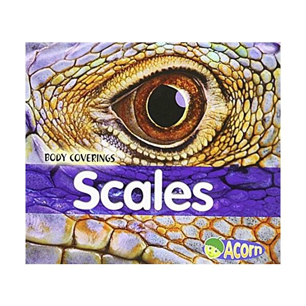 【お取り寄せ・キャンセル不可の商品】：2週間~4週間でお届け（お急ぎの方はご遠慮ください。）　／　【本の説明】24ページ　203*171mm　言語：English　73g　ISBN:9781403483805　対象年齢：4~6歳|Lexil...