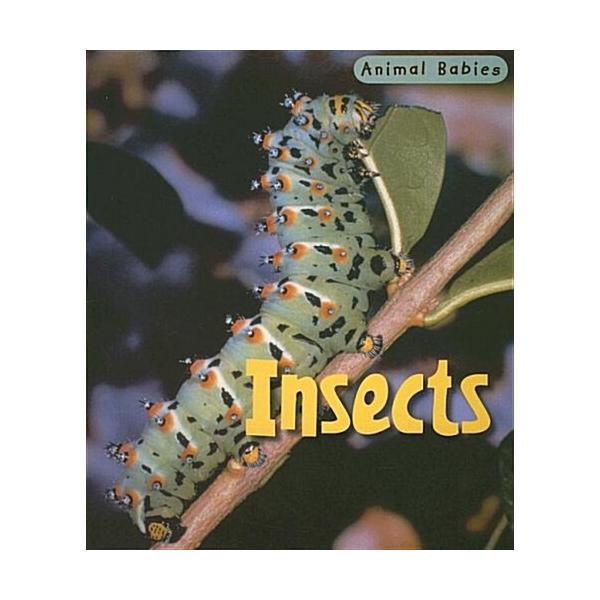 【お取り寄せ・キャンセル不可の商品】：2週間~4週間でお届け（お急ぎの方はご遠慮ください。）　／　【本の説明】32ページ　197*222mm　言語：English　113g　ISBN:9781403492517　対象年齢：6~8歳|Lexi...