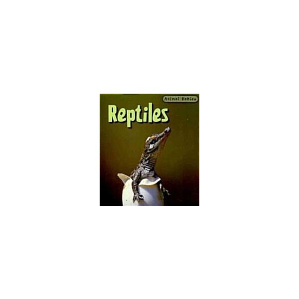 【お取り寄せ・キャンセル不可の商品】：2週間~4週間でお届け（お急ぎの方はご遠慮ください。）　／　【本の説明】32ページ　193*218mm　言語：English　113g　ISBN:9781403492531　対象年齢：6~8歳　／　【本...