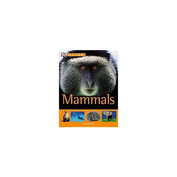 【お取り寄せ・キャンセル不可の商品】：2週間~4週間でお届け（お急ぎの方はご遠慮ください。）　／　【本の説明】64ページ　228*302mm　言語：English　358g　ISBN:9781405306638　