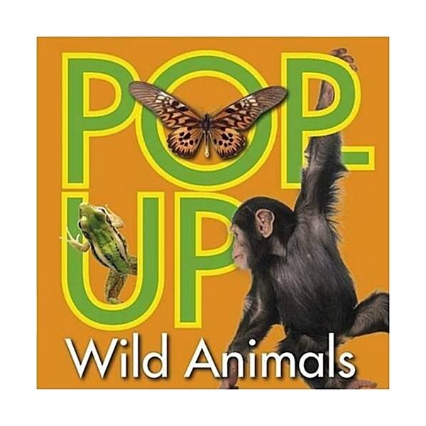 【お取り寄せ・キャンセル不可の商品】：2週間~4週間でお届け（お急ぎの方はご遠慮ください。）　／　【本の説明】10ページ　164*166mm　言語：English　国：イギリス　200g　ISBN:9781405332453　／　【本の内容...