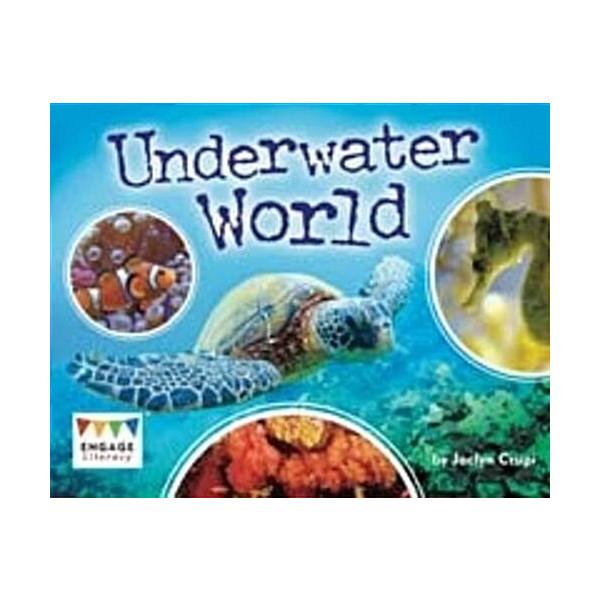 【お取り寄せ・キャンセル不可の商品】：2週間~4週間でお届け（お急ぎの方はご遠慮ください。）　／　【本の説明】16ページ　173*165mm　言語：English　国：イギリス　54g　ISBN：9781406265392　／　【本の内容】...