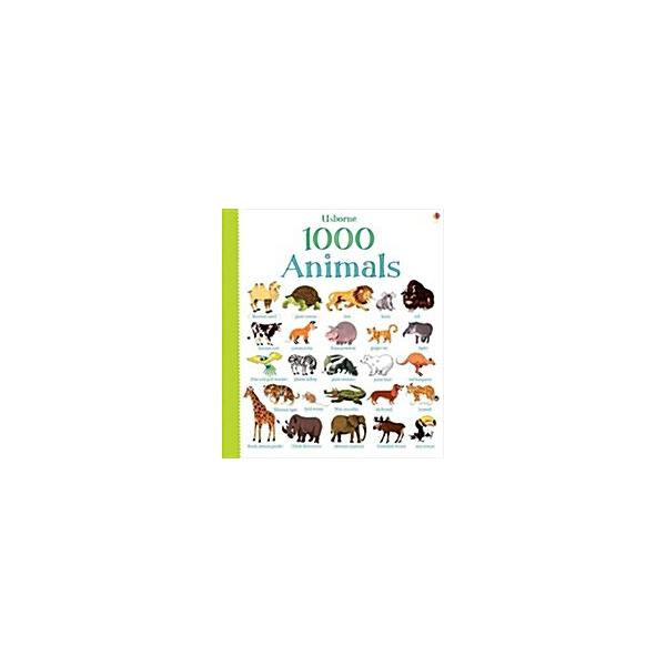 【お取り寄せ・キャンセル不可の商品】：2週間~4週間でお届け（お急ぎの方はご遠慮ください。）　／　【本の説明】34ページ　247*294mm　言語：English　国：イギリス　171g　ISBN:9781409551645　