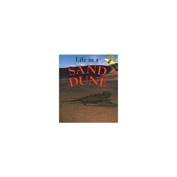 【お取り寄せ・キャンセル不可の商品】：2週間~4週間でお届け（お急ぎの方はご遠慮ください。）　／　【本の説明】32ページ　191*222mm　言語：English　113g　ISBN:9781410903501　