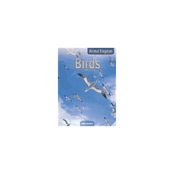 【お取り寄せ・キャンセル不可の商品】：2週間~4週間でお届け（お急ぎの方はご遠慮ください。）　／　【本の説明】64ページ　197*267mm　言語：English　227g　ISBN:9781410913449　／　【本の内容】Someti...