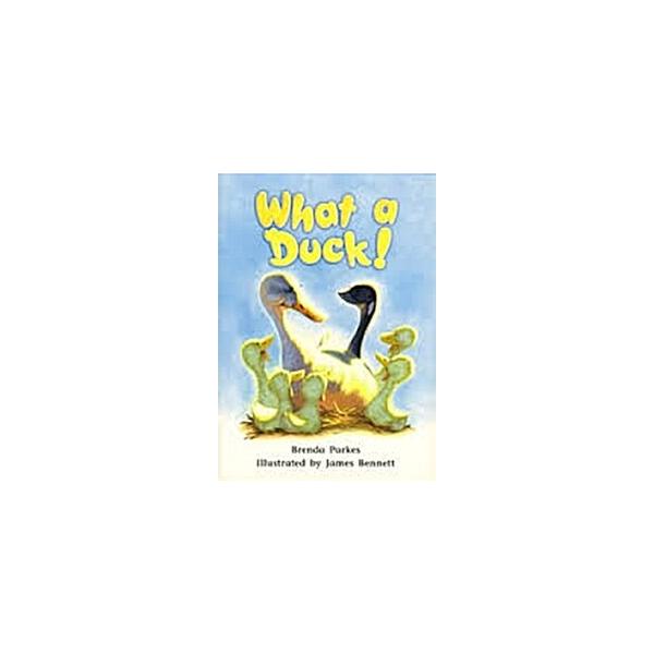 【お取り寄せ・キャンセル不可の商品】：2週間~4週間でお届け（お急ぎの方はご遠慮ください。）　／　【本の説明】24ページ　165*226mm　言語：English　290g　ISBN:9781418931223　対象年齢：6~6歳|Lexi...