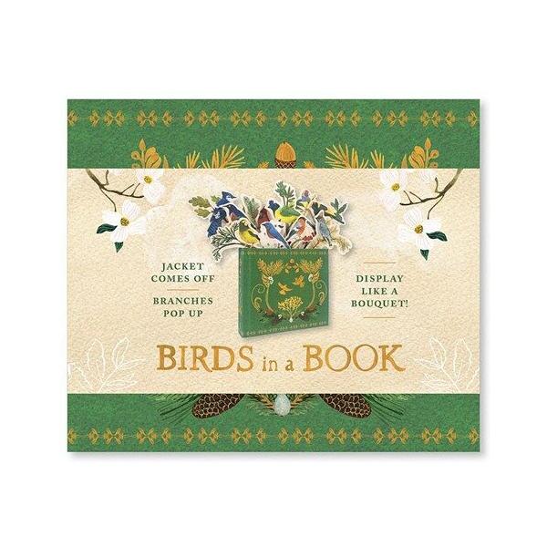 【お取り寄せ・キャンセル不可の商品】：2週間~4週間でお届け（お急ぎの方はご遠慮ください。）　／　【本の説明】24ページ　152*133mm　言語：English　国：アメリカ　162g　ISBN:9781419733932　／　【本の内容...