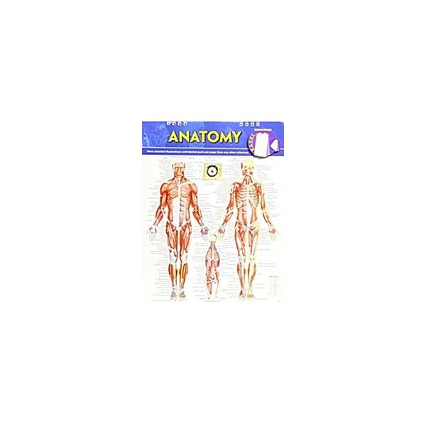 【お取り寄せ・キャンセル不可の商品】：2週間~4週間でお届け（お急ぎの方はご遠慮ください。）　／　【本の説明】21ページ　213*279mm　言語：English　国：アメリカ　340g　ISBN：9781423225836　／　【本の内容...