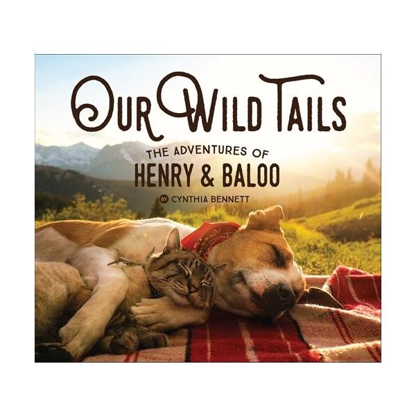 【お取り寄せ・キャンセル不可の商品】：2週間~4週間でお届け（お急ぎの方はご遠慮ください。）　／　【本の説明】144ページ　208*236mm　言語：English　国：アメリカ　635g　ISBN：9781423654056　／　【本の内...