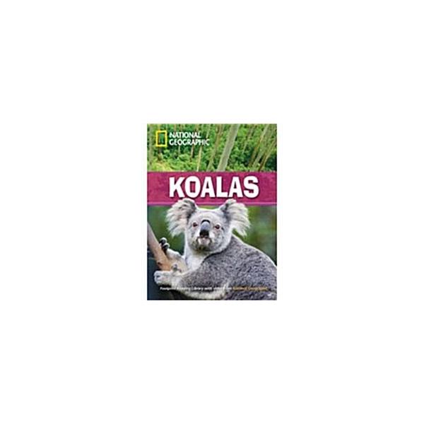 【お取り寄せ・キャンセル不可の商品】：2週間~4週間でお届け（お急ぎの方はご遠慮ください。）　／　【本の説明】24ページ　149*211mm　言語：English　国：アメリカ　44g　ISBN：9781424011223　／　【本の内容】...