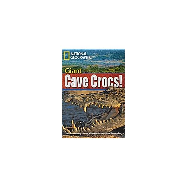 【お取り寄せ・キャンセル不可の商品】：2週間~4週間でお届け（お急ぎの方はご遠慮ください。）　／　【本の説明】32ページ　150*210mm　言語：English　国：アメリカ　36g　ISBN：9781424012008　／　【本の内容】...