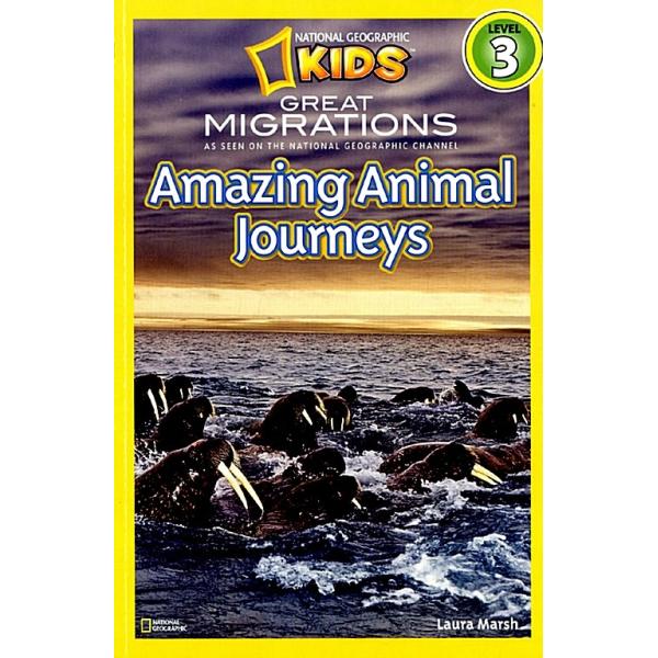 【お取り寄せ・キャンセル不可の商品】：2週間~4週間でお届け（お急ぎの方はご遠慮ください。）　／　【本の説明】48ページ　147*224mm　言語：English　国：アメリカ　113g　ISBN:9781426307416　対象年齢：8~...