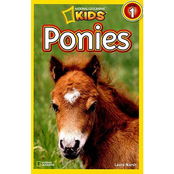 【お取り寄せ・キャンセル不可の商品】：2週間~4週間でお届け（お急ぎの方はご遠慮ください。）　／　【本の説明】32ページ　154*226mm　言語：English　国：アメリカ　82g　ISBN:9781426308499　対象年齢：6~8...