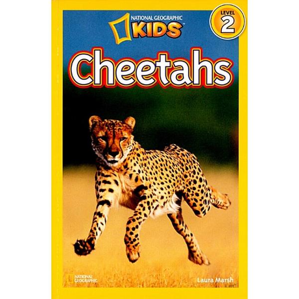 【お取り寄せ・キャンセル不可の商品】：2週間~4週間でお届け（お急ぎの方はご遠慮ください。）　／　【本の説明】32ページ　150*221mm　言語：English　国：アメリカ　82g　ISBN:9781426308550　対象年齢：6~8...