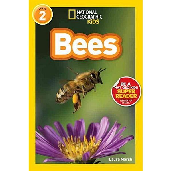 【お取り寄せ・キャンセル不可の商品】：2週間~4週間でお届け（お急ぎの方はご遠慮ください。）　／　【本の説明】32ページ　150*224mm　言語：English　国：アメリカ　91g　ISBN:9781426322815　対象年齢：6~8...