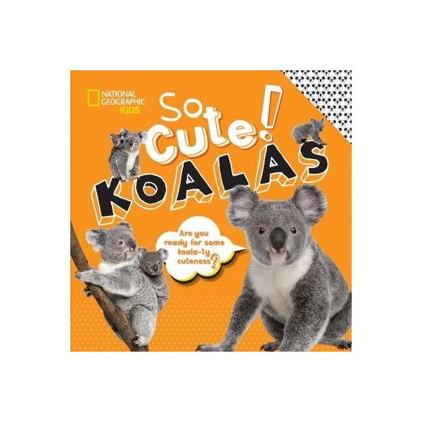 【お取り寄せ・キャンセル不可の商品】：2週間~4週間でお届け（お急ぎの方はご遠慮ください。）　／　【本の説明】32ページ　163*168mm　言語：English　国：アメリカ　136g　ISBN:9781426335273　対象年齢：3~...