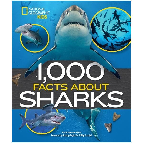 【お取り寄せ・キャンセル不可の商品】：2週間~4週間でお届け（お急ぎの方はご遠慮ください。）　／　【本の説明】96ページ　236*282mm　言語：English　国：アメリカ　635g　ISBN：9781426371745　対象年齢：8~...