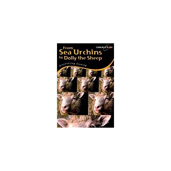 【お取り寄せ・キャンセル不可の商品】：2週間~4週間でお届け（お急ぎの方はご遠慮ください。）　／　【本の説明】64ページ　171*248mm　言語：English　181g　ISBN:9781432907013　対象年齢：10~13歳　