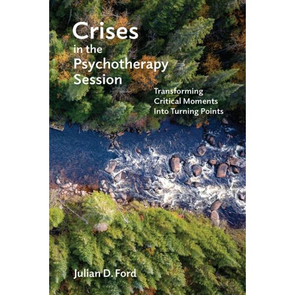 【お取り寄せ・キャンセル不可の商品】：2週間~4週間でお届け（お急ぎの方はご遠慮ください。）　／　【本の説明】397ページ　152*226mm　言語：English　国：アメリカ　522g　ISBN：9781433832871　／　【本の内...