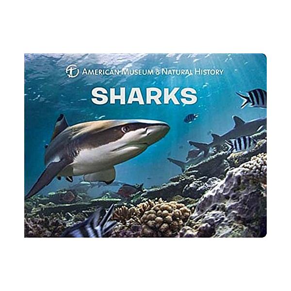 【お取り寄せ・キャンセル不可の商品】：2週間~4週間でお届け（お急ぎの方はご遠慮ください。）　／　【本の説明】26ページ　201*150mm　言語：English　国：アメリカ　227g　ISBN:9781454921288　対象年齢：2~5歳　